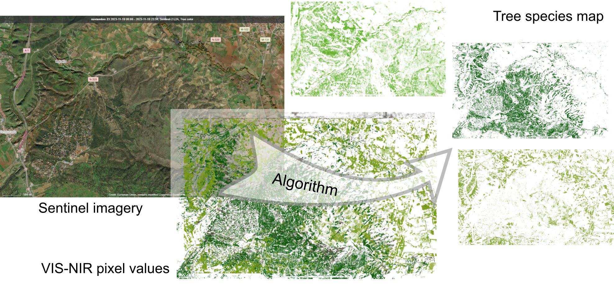 SATree – Boscalia Technologies